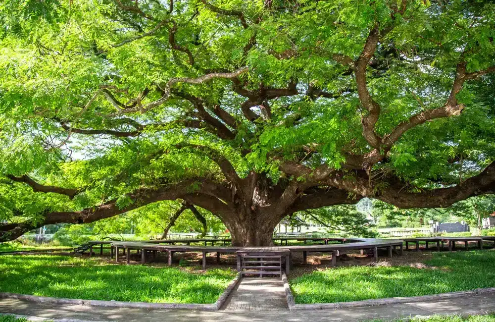 50 Must-Visit Attractions In Kanchanaburi 2025 | Home Phutoey River Kwai